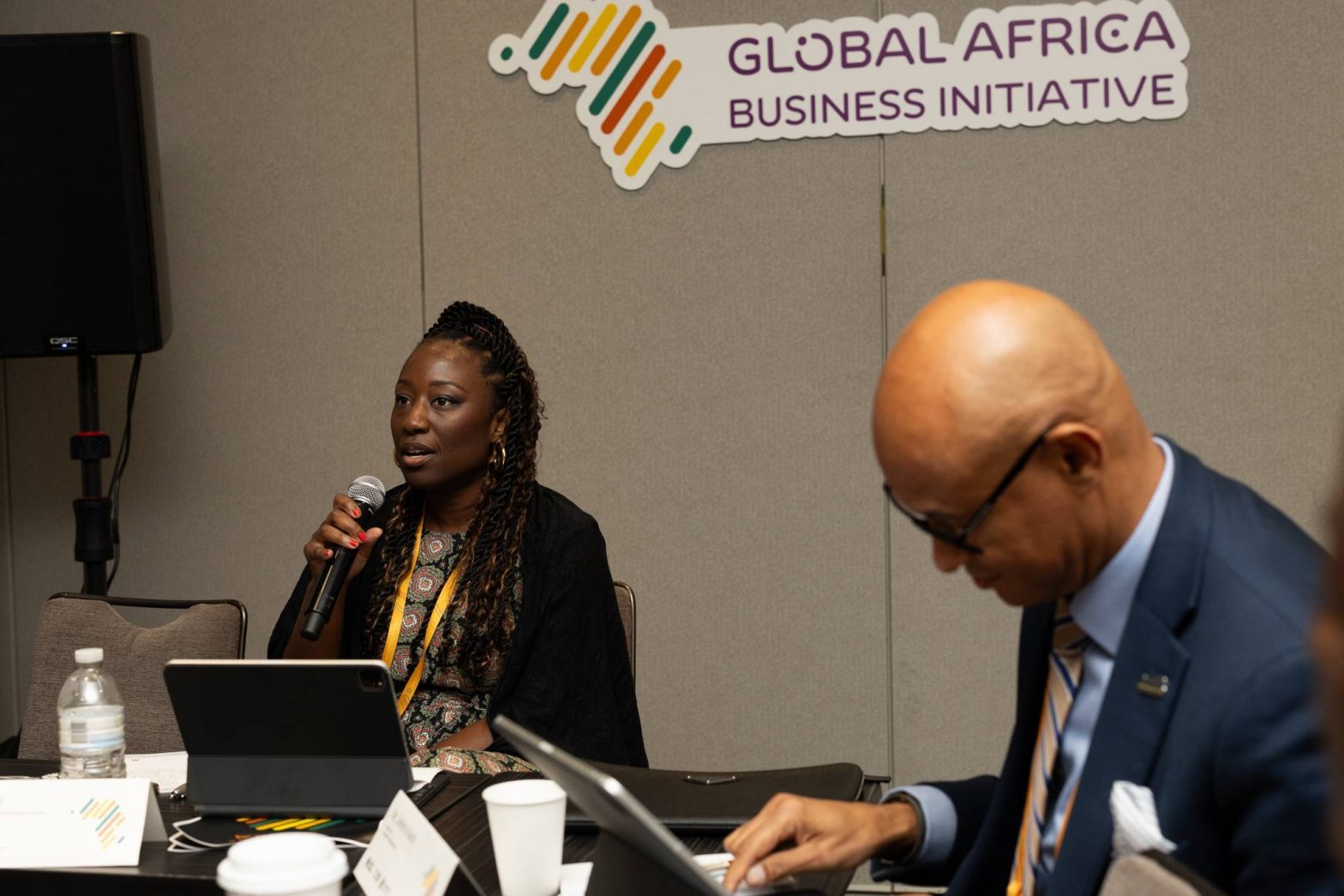 Flutterwave Champions Africa’s Digital Future at UNGA 80 | The ...